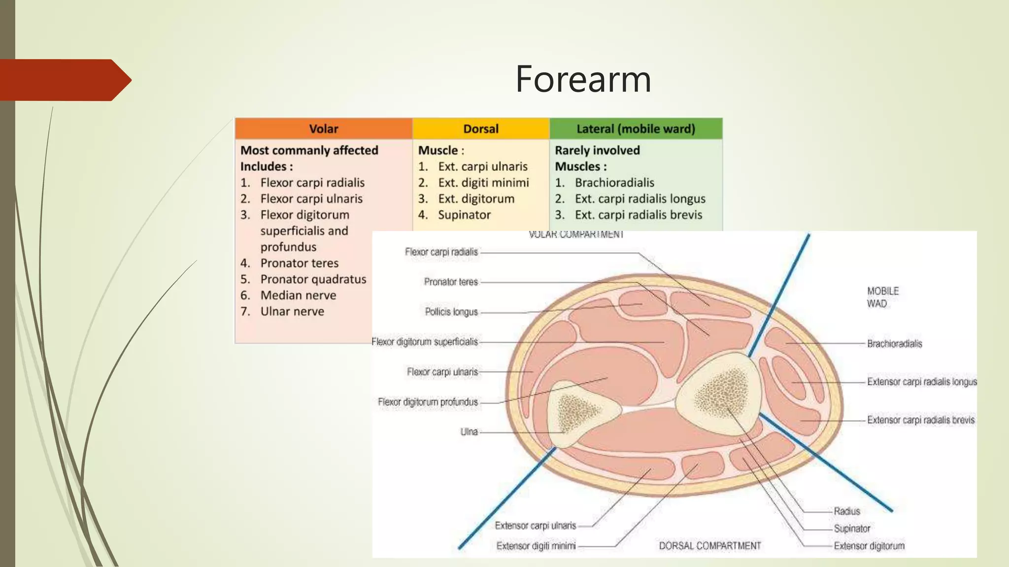 compartment syndrome.pptx