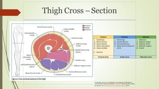 compartment syndrome.pptx