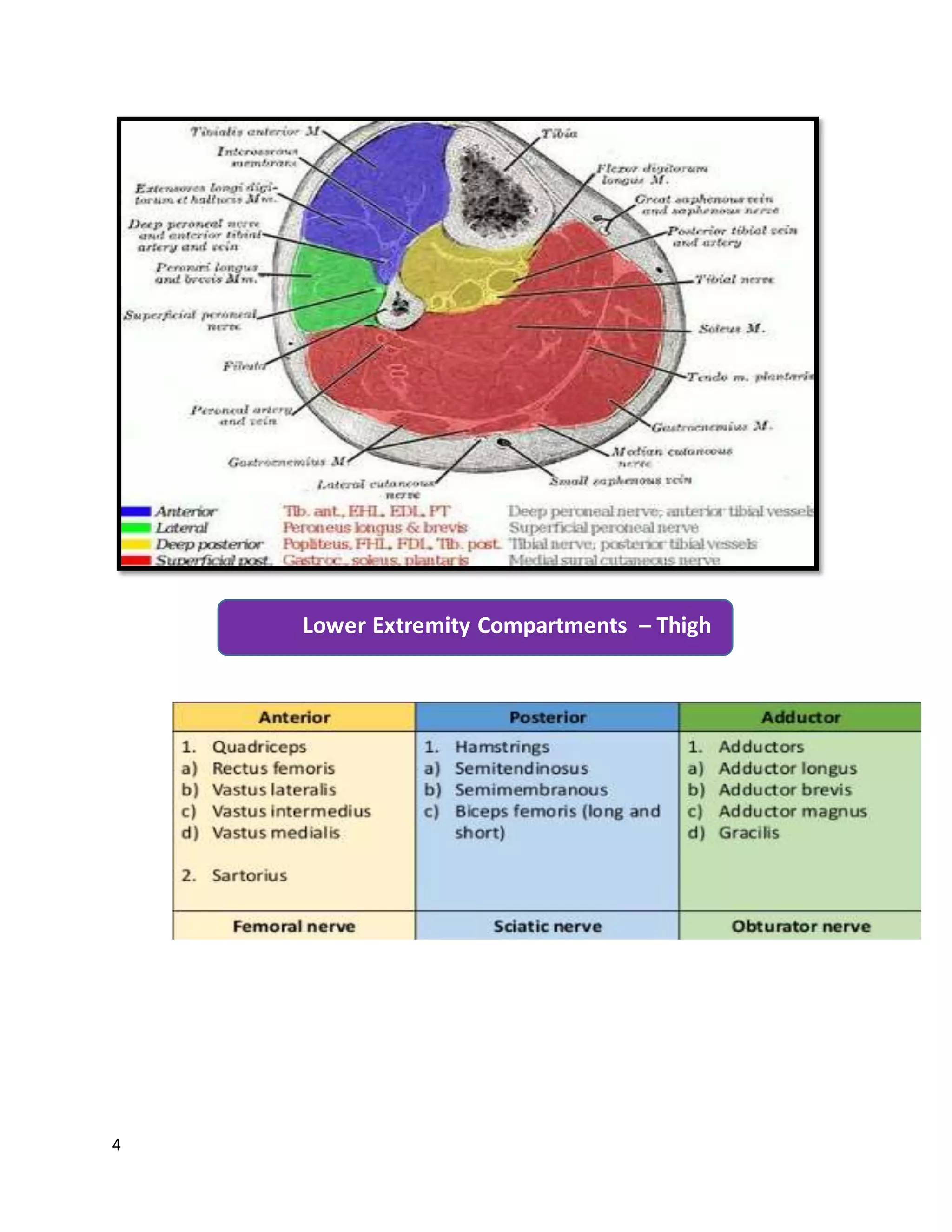 Compartment syndrome | DOCX