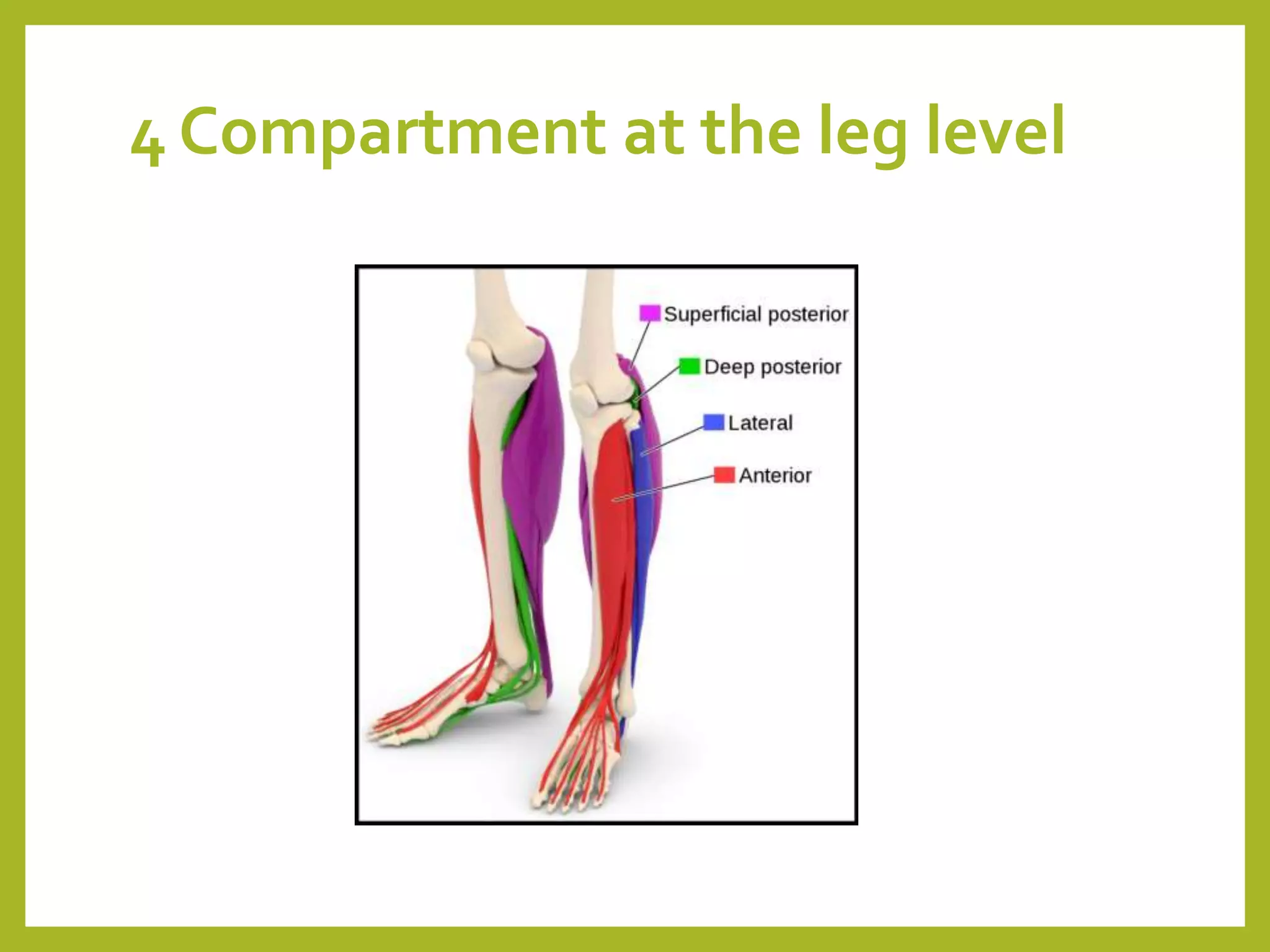 COMPARTMENT SYNDROME (2) (1).pptx