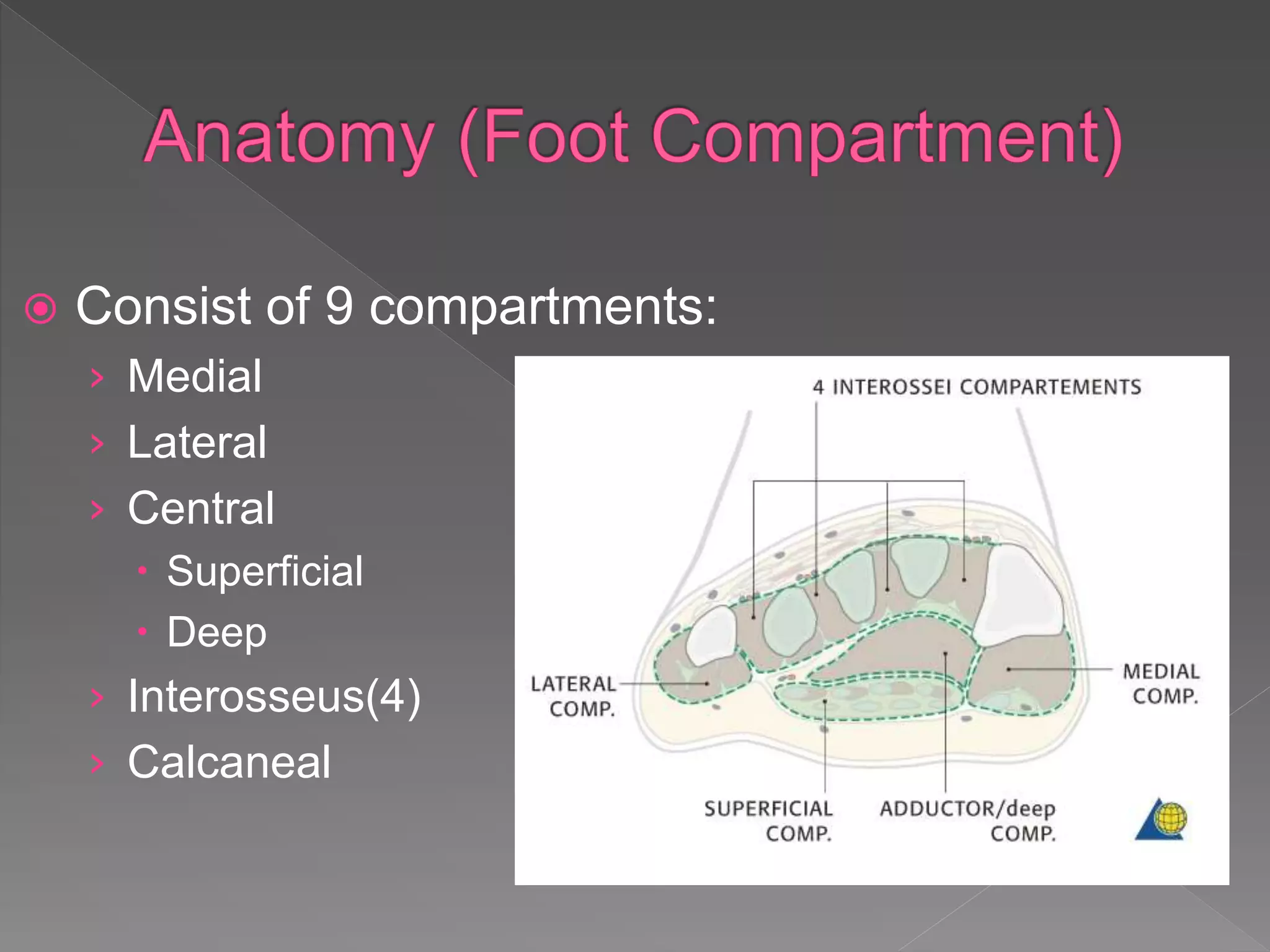 Compartment Syndrome Of The Foot.pptx