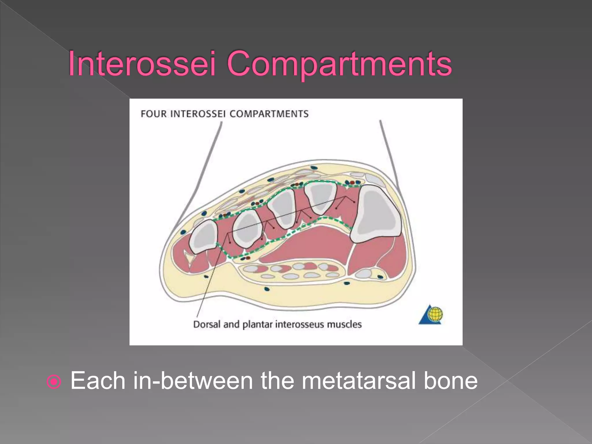 Compartment Syndrome Of The Foot.pptx