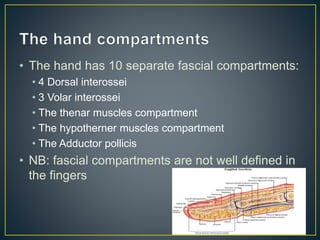 Compartment syndromes | PPTX