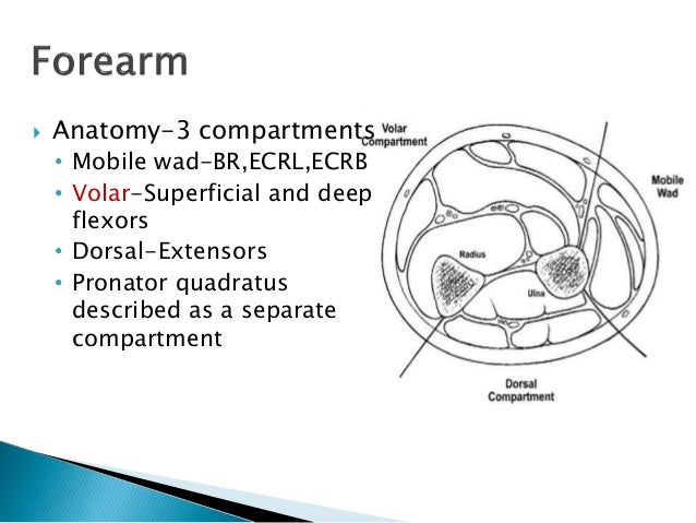 Compartment syndromes