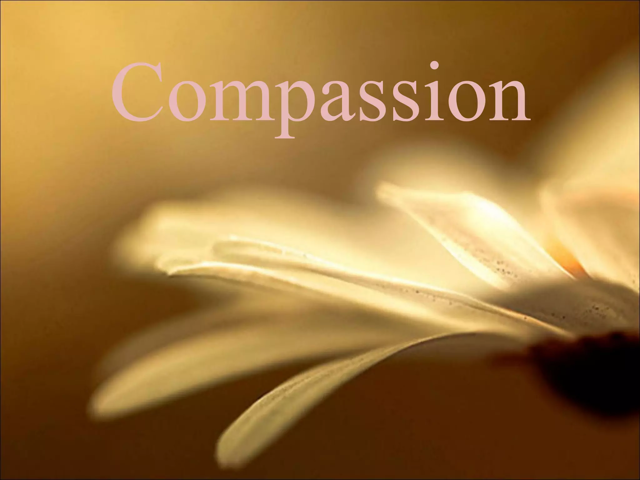 Compassion 1 | PPT