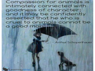 Compassion towards animals | PPT