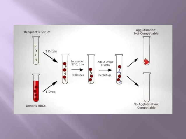 Compatability testing.pptx | Blood Disorders | Diseases and Conditions