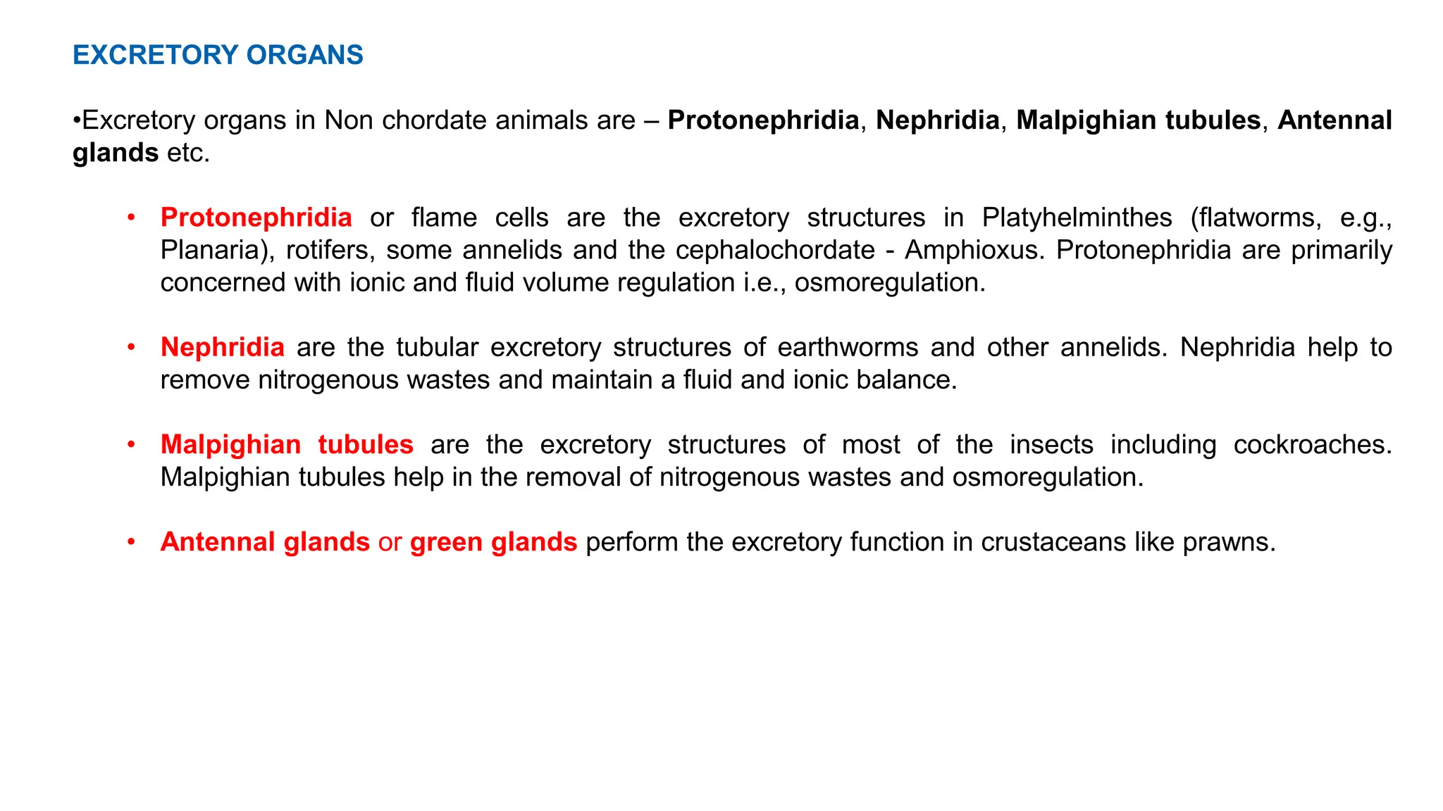 Comparative anatomy & Physiology of Excretion in Invertebrates.pptx