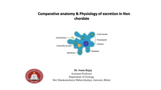 Comparative anatomy & Physiology of Excretion in Invertebrates.pptx