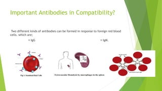 compatibility (3).pptx