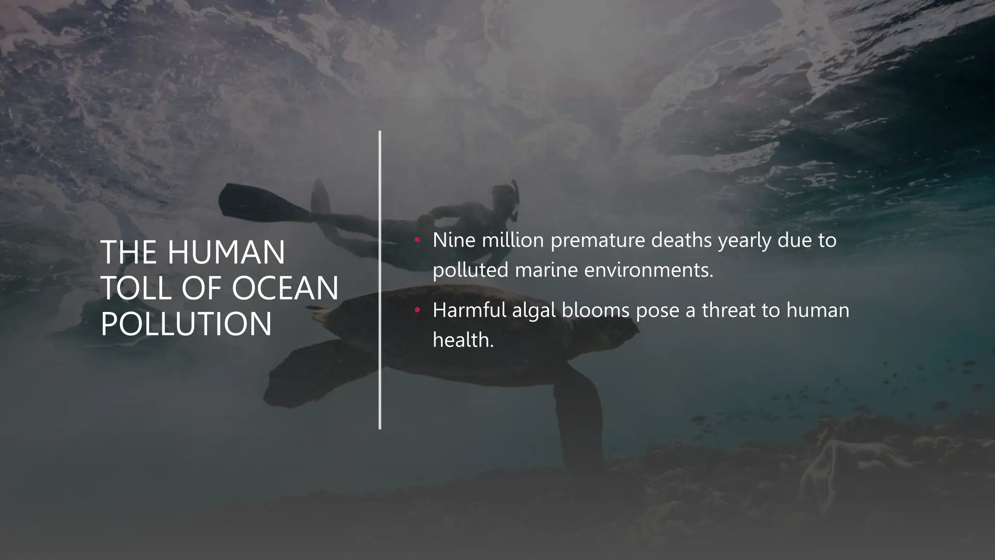 Compating ocean pollution_Thani Al Remeithi .pptx