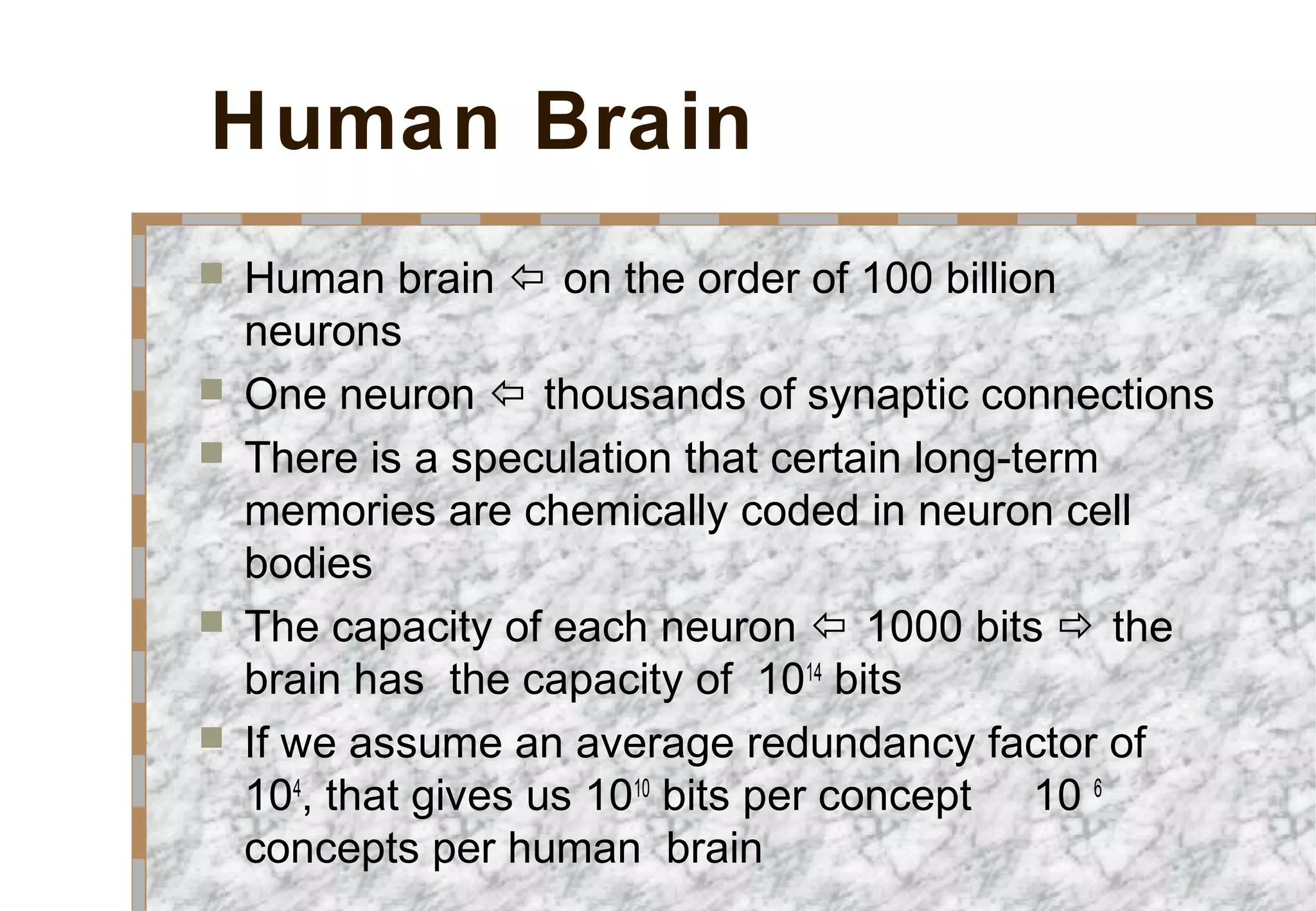 Brain vs Computer | PPT