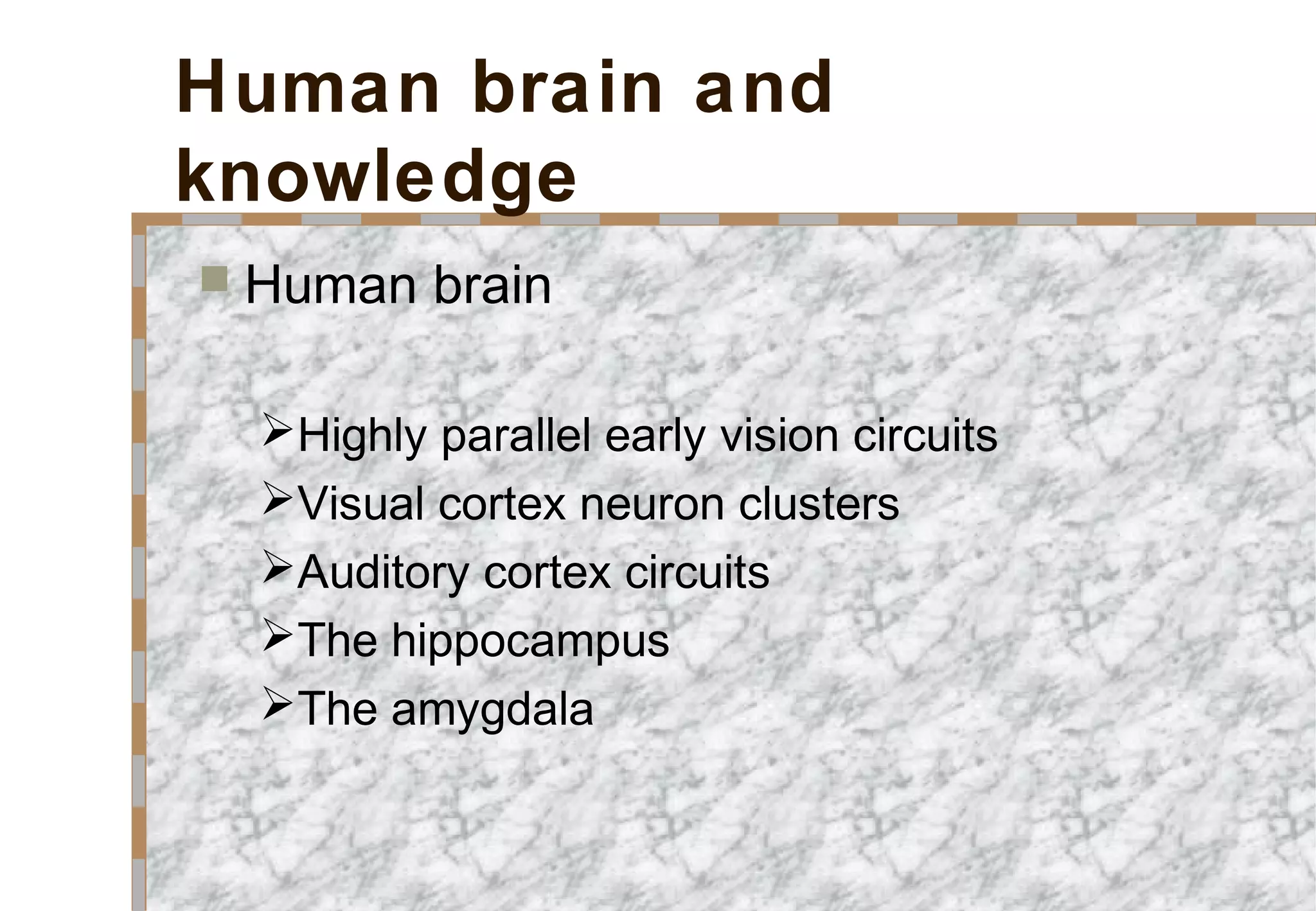Brain vs Computer | PPT