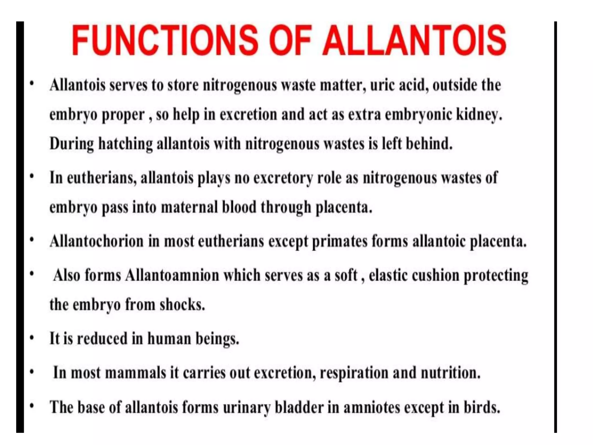 extra embryonic membranes : amnion chorion allantois and yolk sac ...