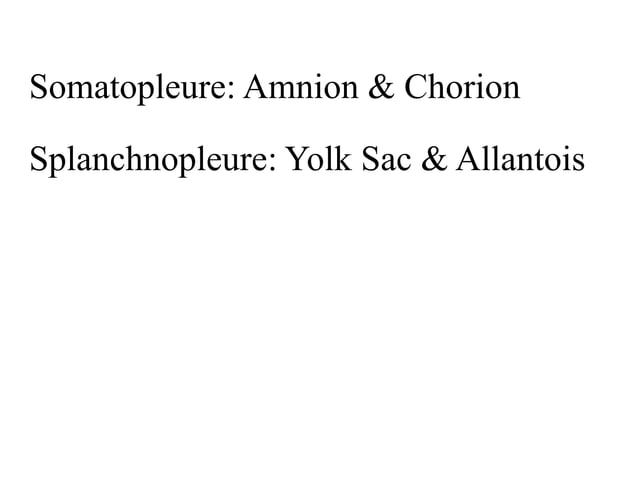 extra embryonic membranes : amnion chorion allantois and yolk sac ...