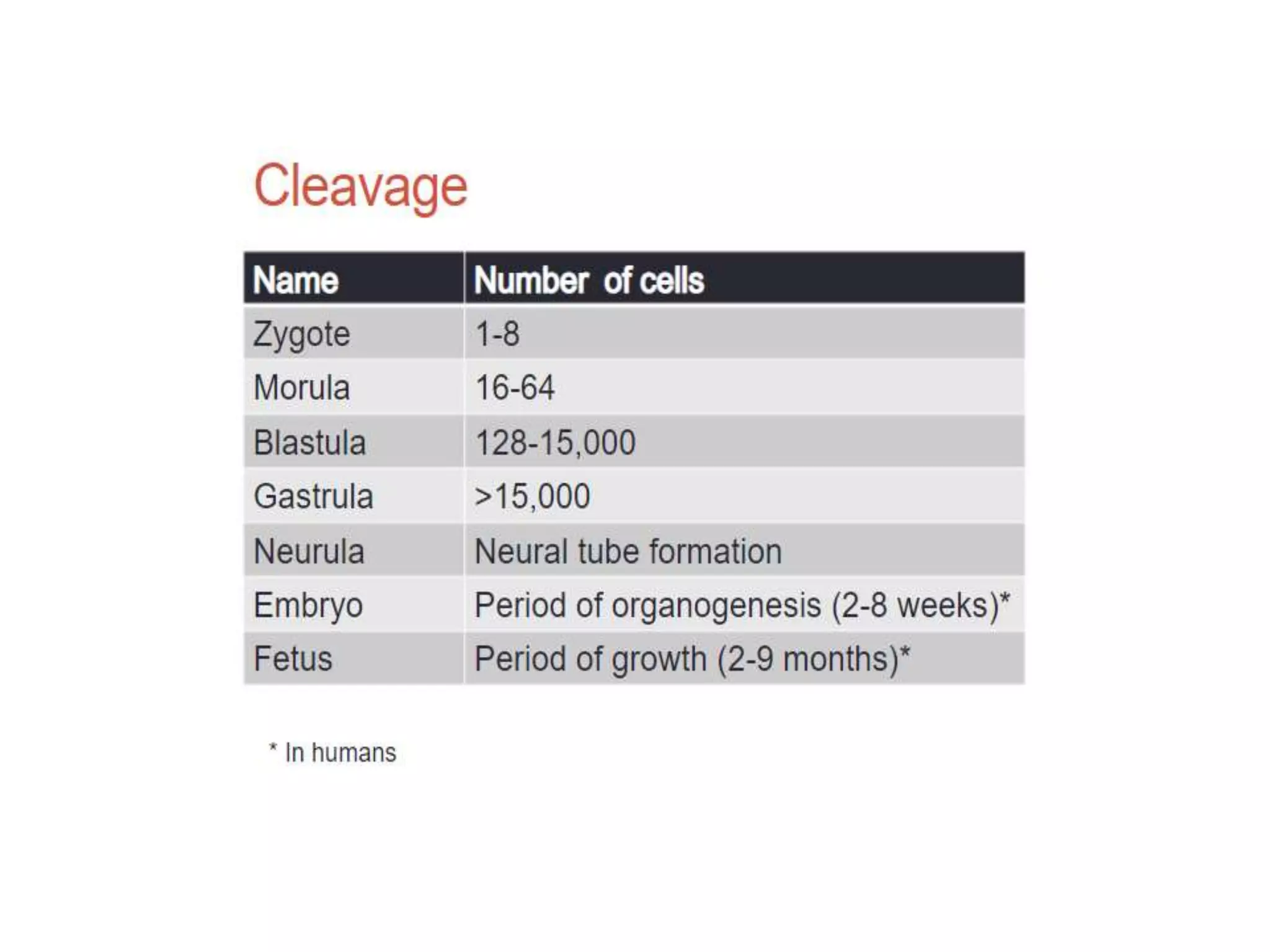 types of cleavage, blastula formation, gastrula , morphogenetic ...