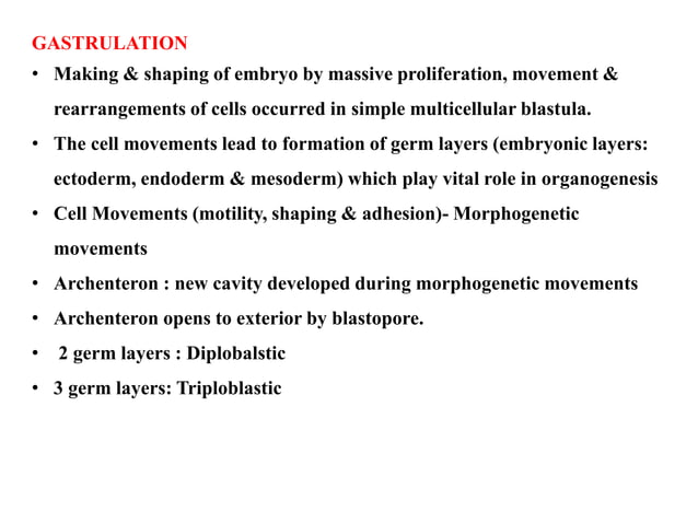 types of cleavage, blastula formation, gastrula , morphogenetic ...