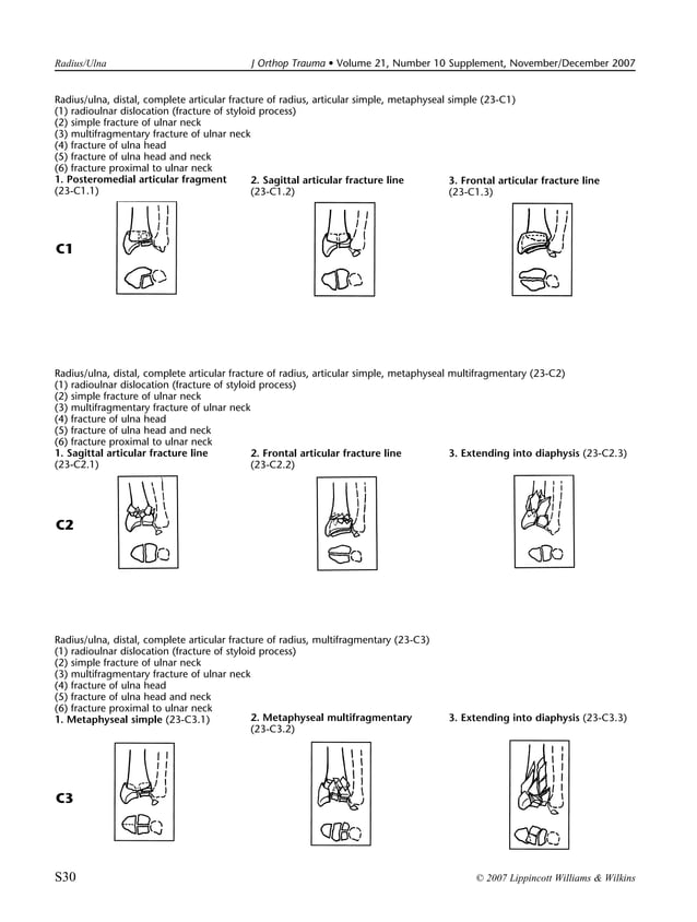 Clasificacion de fracturas y luxaciones aaos 2007 | PDF