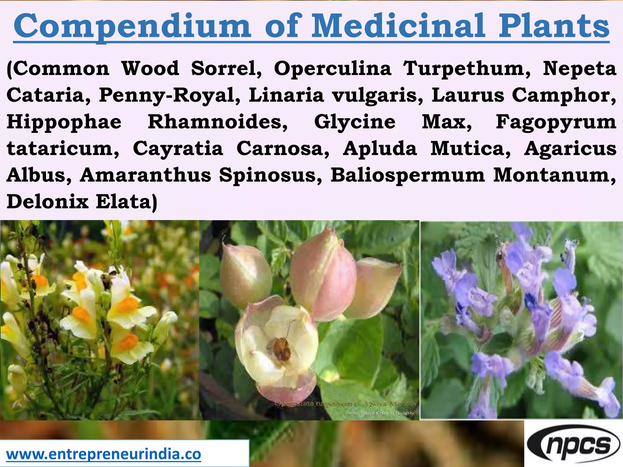 Compendium of Medicinal Plants | PPTX