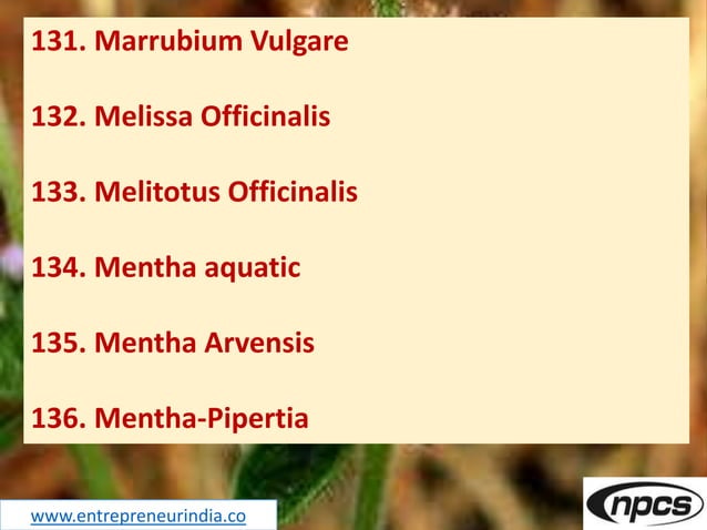 Compendium of Medicinal Plants | PPT