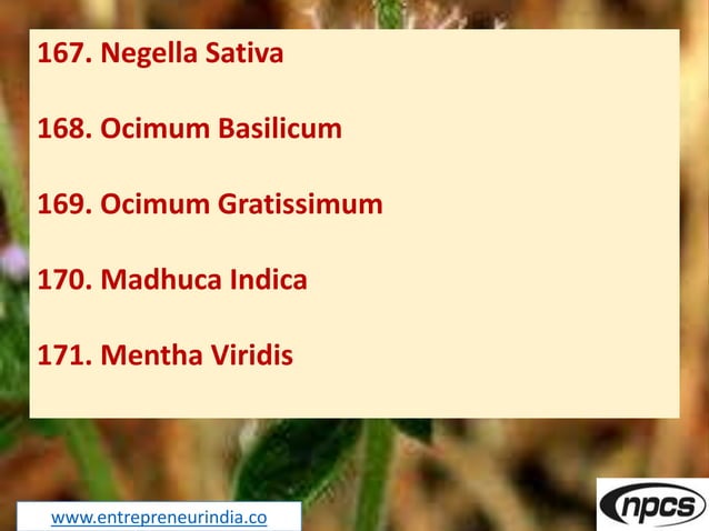 Compendium of Medicinal Plants | PPT