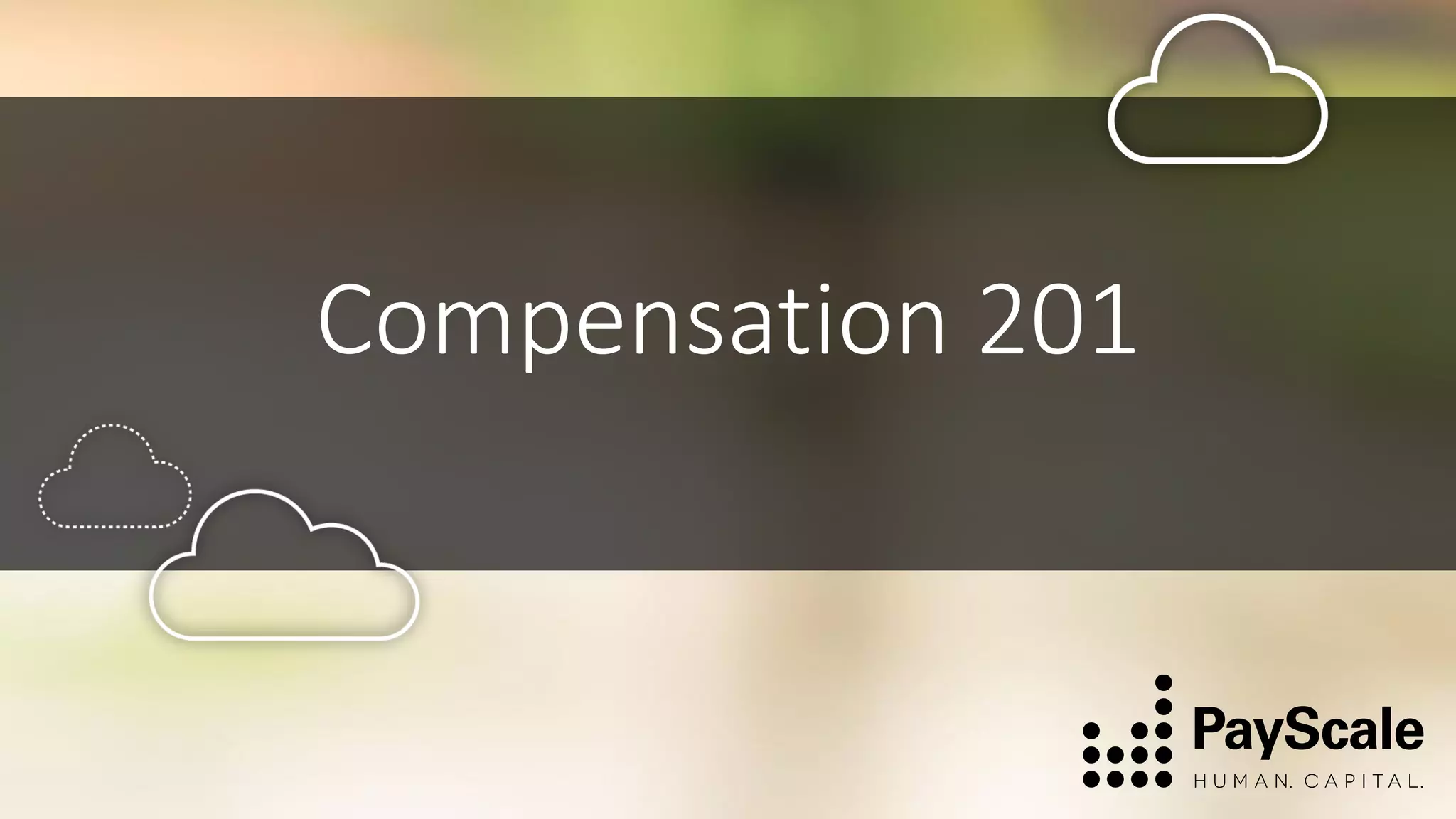 Compensation 201 | PDF