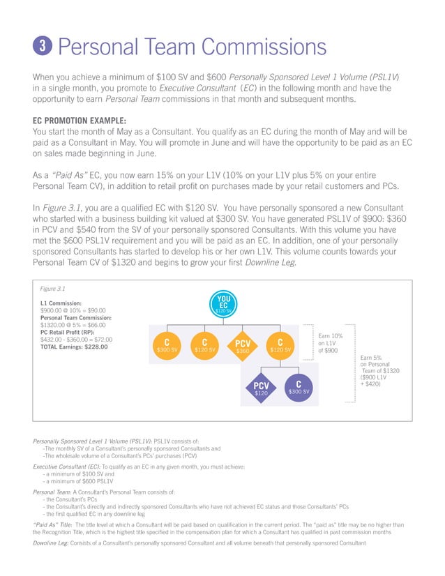 Compensation Plan | PDF
