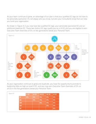 Compensation Plan | PDF