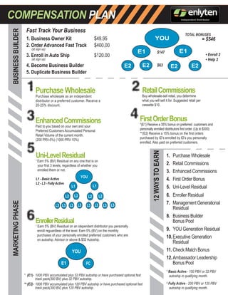 Compensation Plan | PDF
