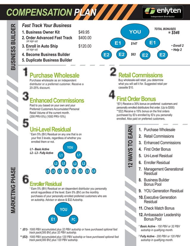 Compensation Plan | PDF