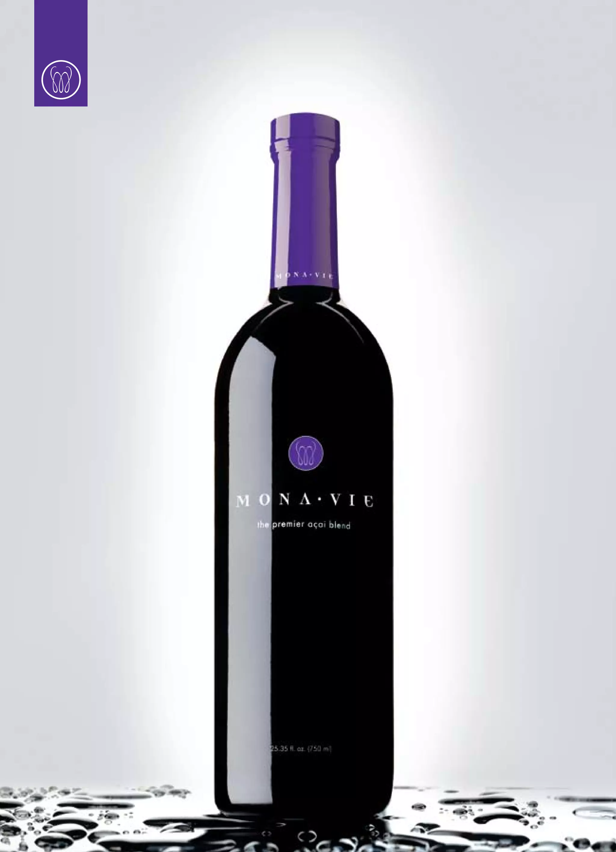 Compensation Plan | PDF