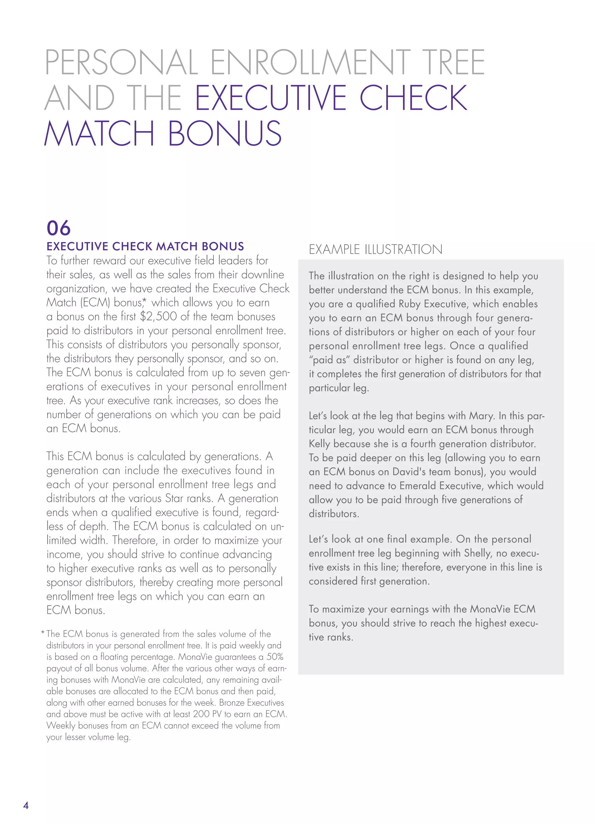 Compensation Plan | PDF