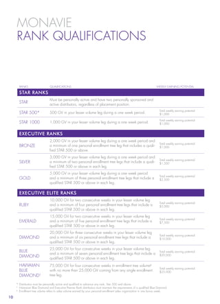 Compensation Plan | PDF