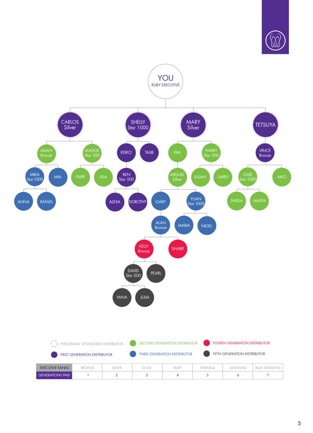Compensation Plan | PDF