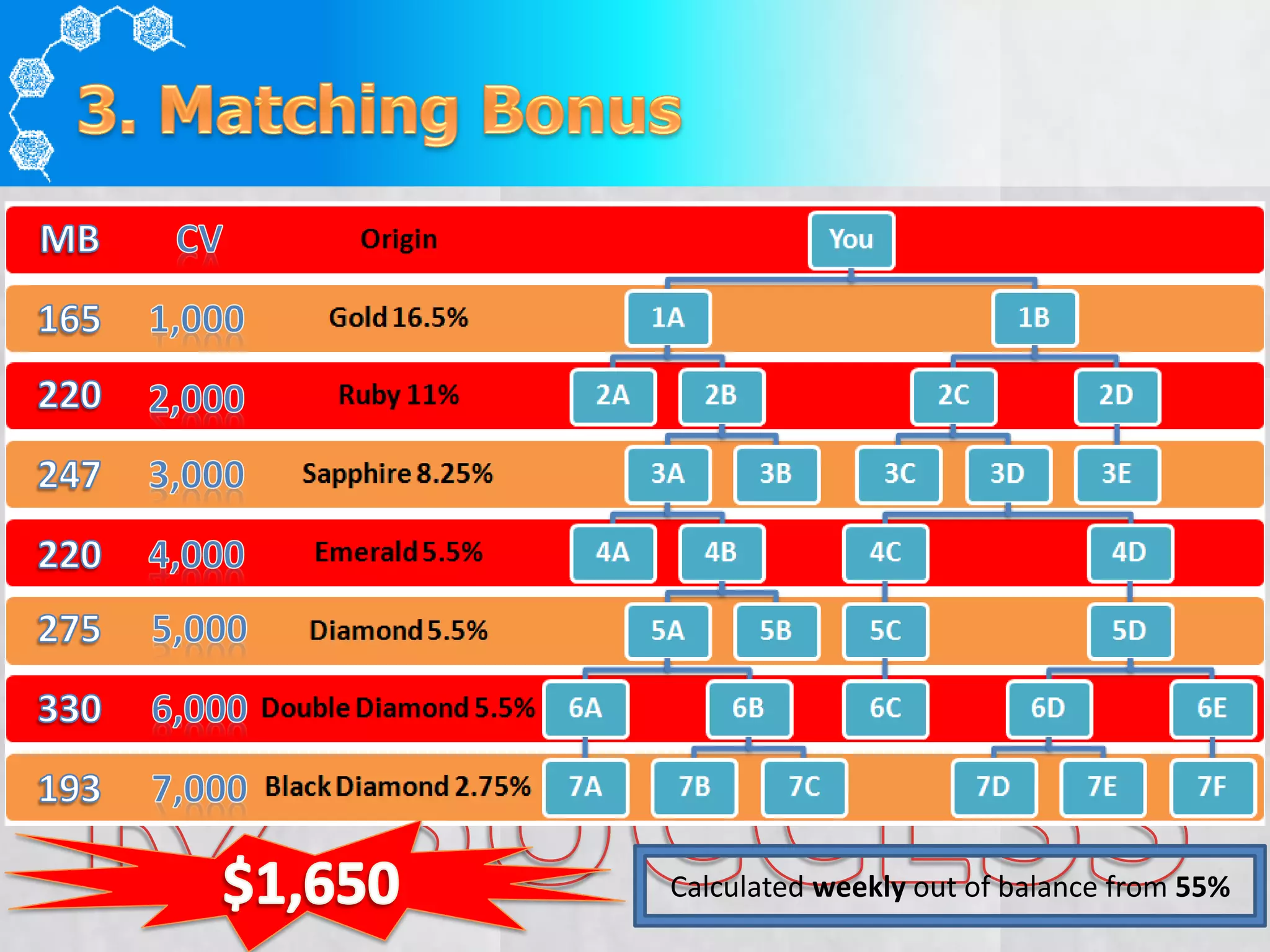 ERONA Compensation plan | PPT
