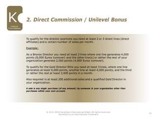 Compensationplan explanation | PDF