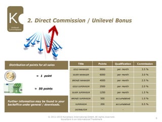 Compensationplan explanation | PDF