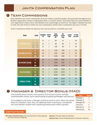 Compensation plan us_en | PDF