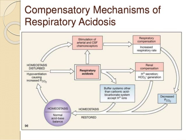 Acid-base balance