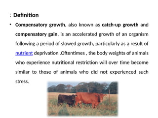 compensetary growth Amel Adam University .pptx