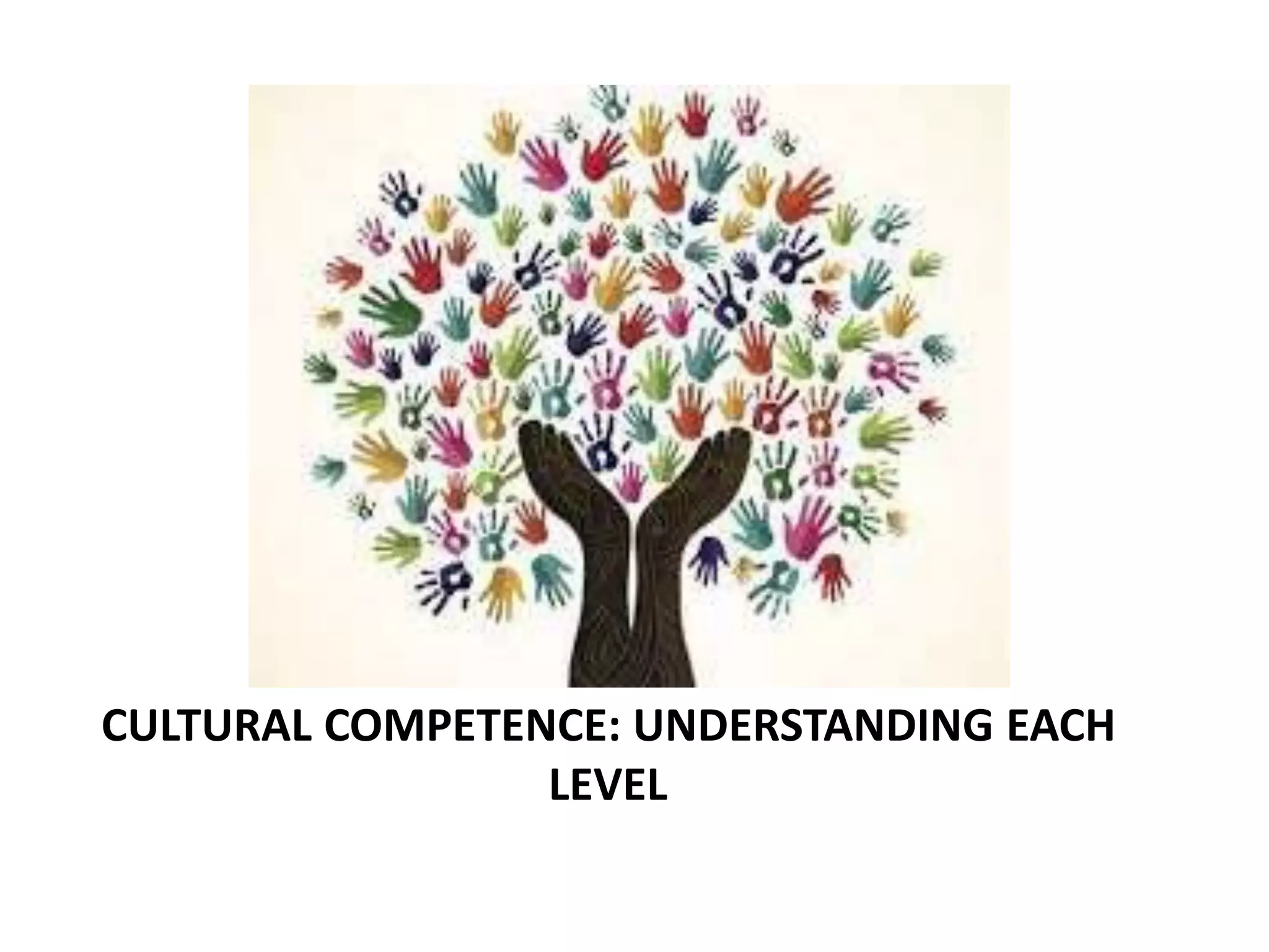 Disability and Cultural competence.pptx
