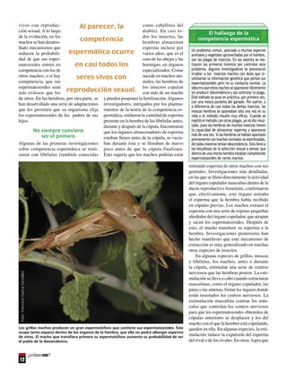 Competencia Espermatica[1] | PDF