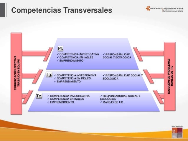Competencias transversales