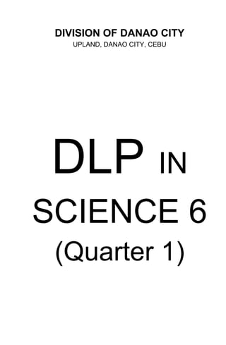 compilation of detailed lesson plan competencies | PDF