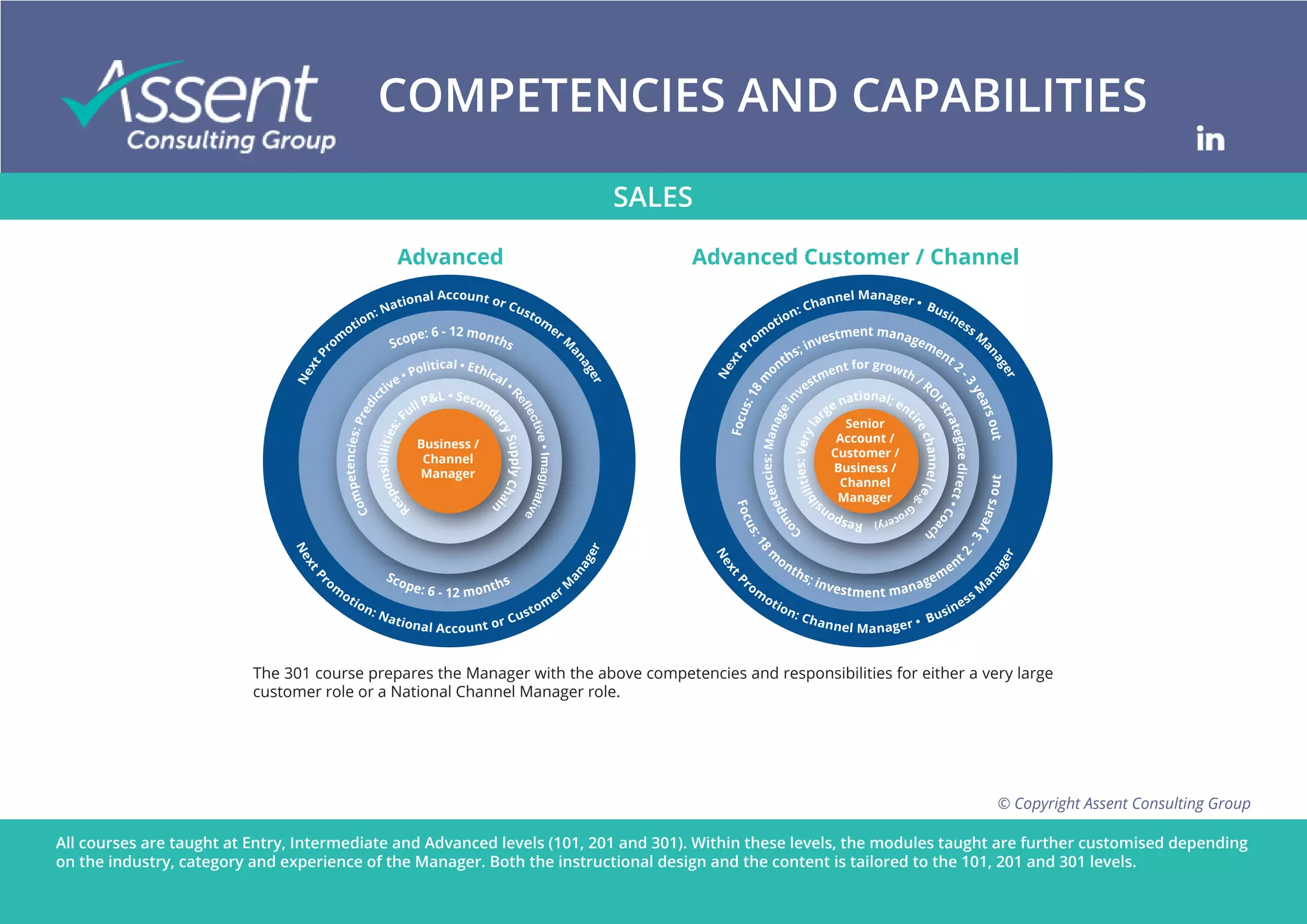 Competencies and capabilities overview for sales and marketers from ...