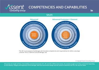 Competencies and capabilities overview for sales and marketers from ...
