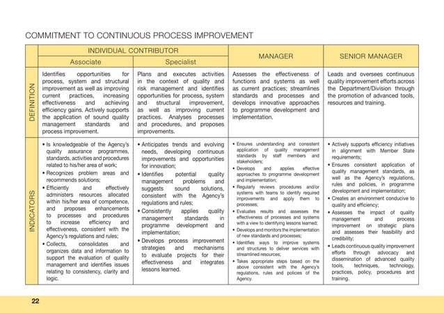 competency-framework.pdf