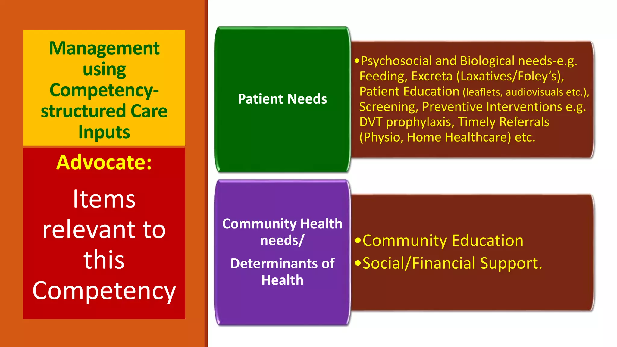 Competency structured care inputs 2 - ss1 | PPT
