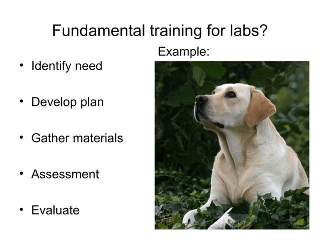 Competency assessment boot camp basics with tp | PPT