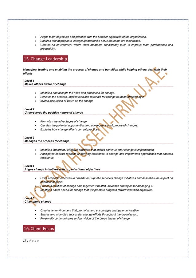 Competency dictionary | PDF